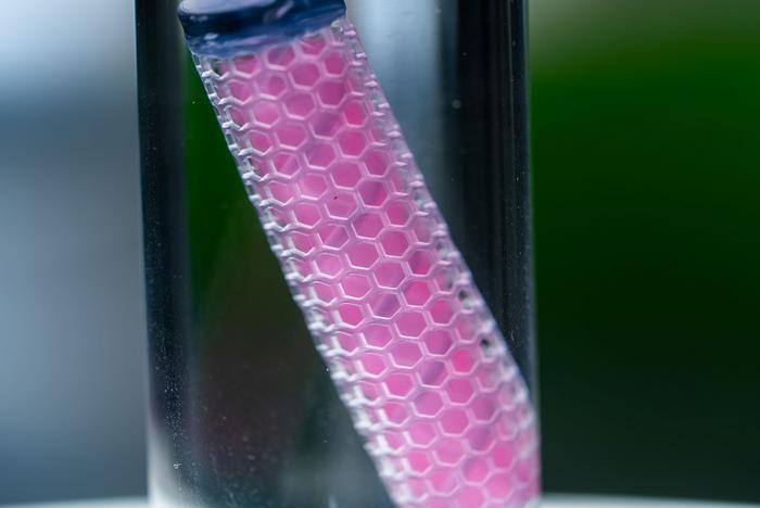 0925_THOR-053BMar-hammr-lg [IMAGE] | EurekAlert! Science News Releases