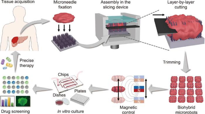Innovative tissue analysis: Pioneering contro | EurekAlert!