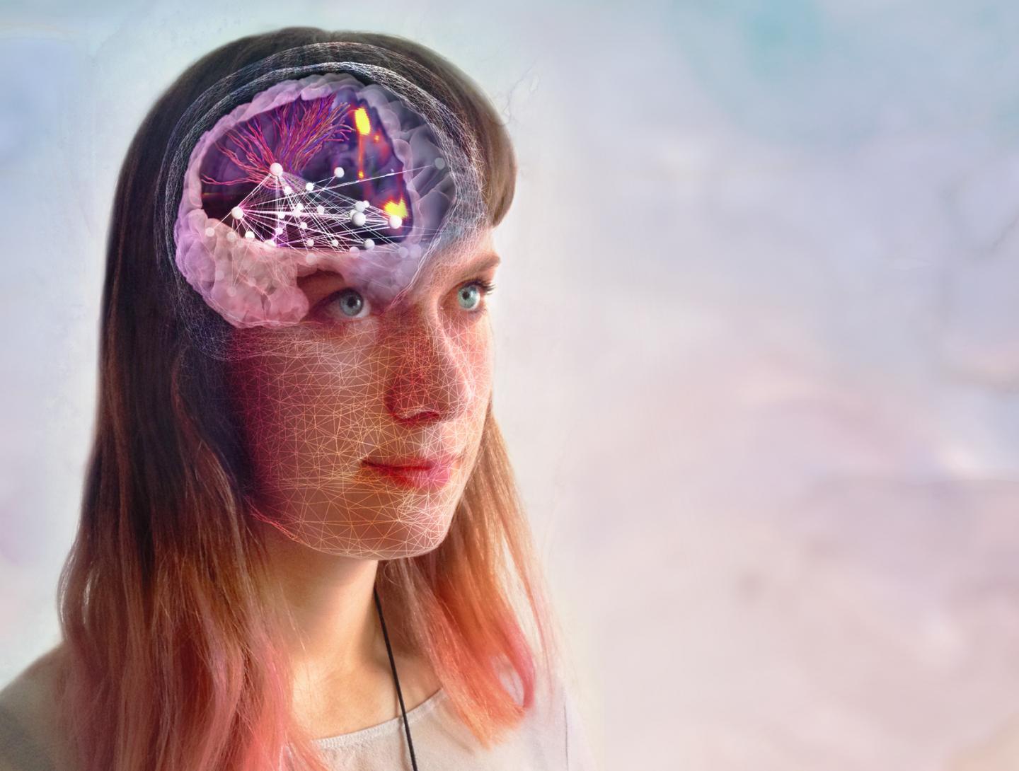 Computer Models of the Brain [IMAGE] | EurekAlert! Science News Releases