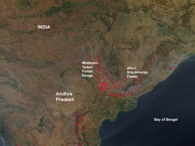 NASA Sees 2 Forest Fires in Central and South | EurekAlert!