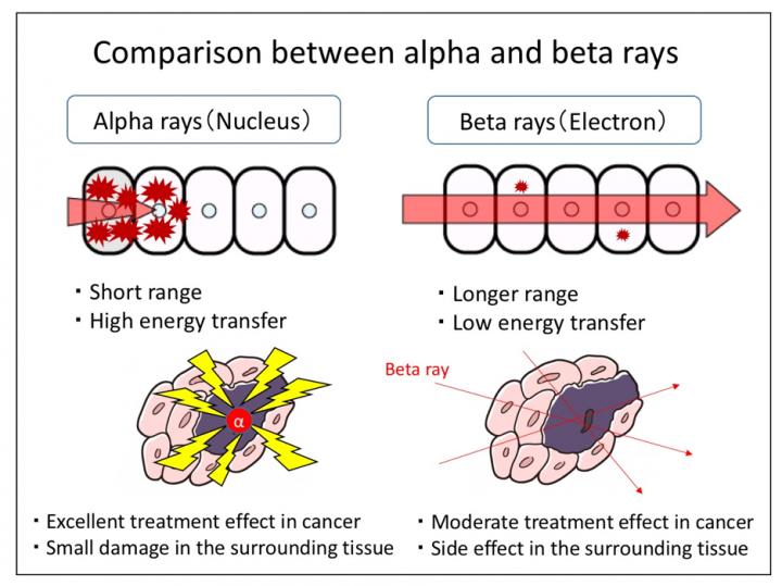 Fig.2 [IMAGE] | EurekAlert! Science News Releases