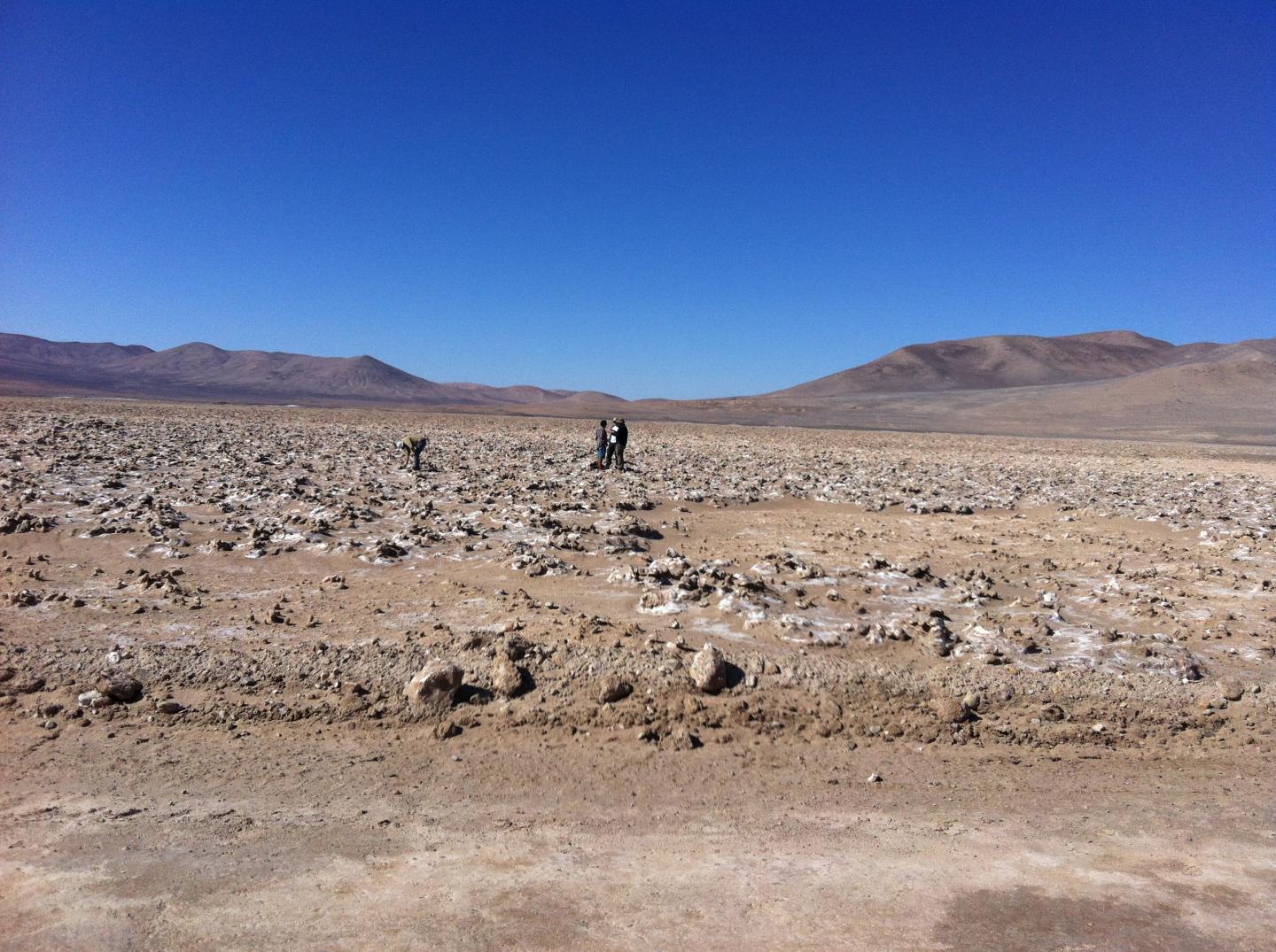 Life in world's driest desert seen as sign of | EurekAlert!