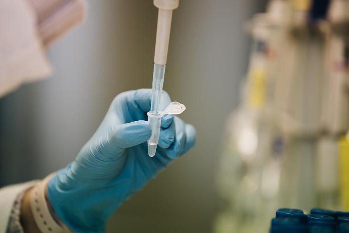 Testicular maldescent in infer [IMAGE] | EurekAlert! Science News Releases