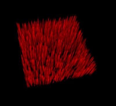 Nano-forests to reveal secrets of cells | EurekAlert!