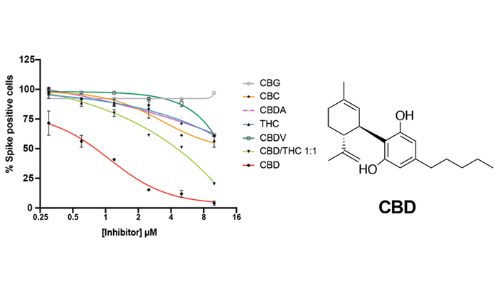 Figure 2 [IMAGE] | EurekAlert! Science News Releases