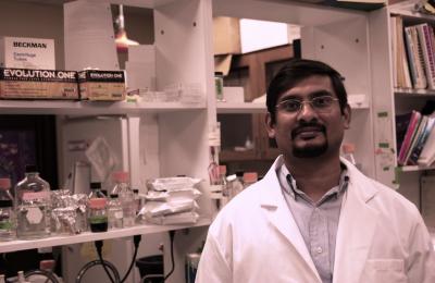Santosh R. D'Mello, University [IMAGE] | EurekAlert! Science News Releases