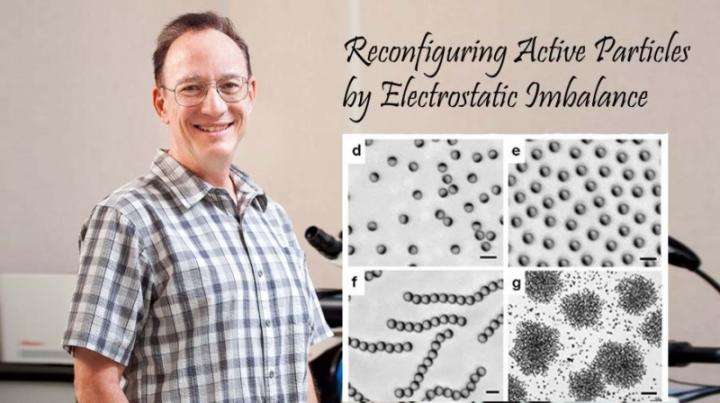 Steve Granick, Ulsan National [IMAGE] | EurekAlert! Science News Releases