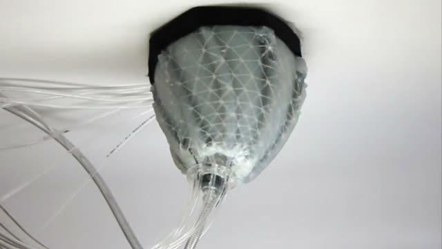 Soft Robots Hug the Heart to Help Pump Blood | EurekAlert!