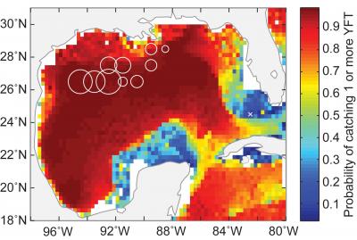 Yellowfin Tuna Probability Map [IMAGE] | EurekAlert! Science News Releases