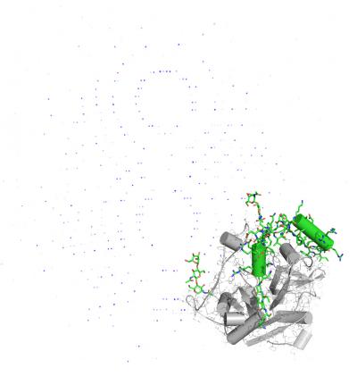 X-Ray Laser Pulses Reveal Key Parasite Enzyme | EurekAlert!