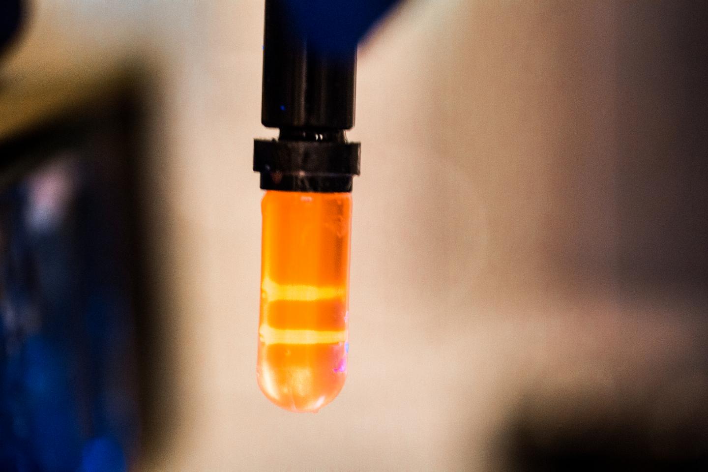 Study of circular DNA comes full circle with | EurekAlert!