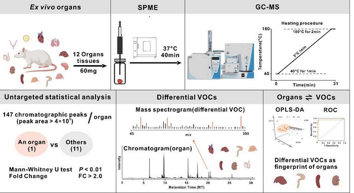 Advanced GC-MS Detection Enabl [IMAGE] | EurekAlert! Science News Releases