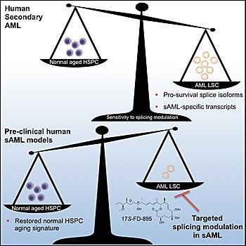sAML Graphic [IMAGE] | EurekAlert! Science News Releases