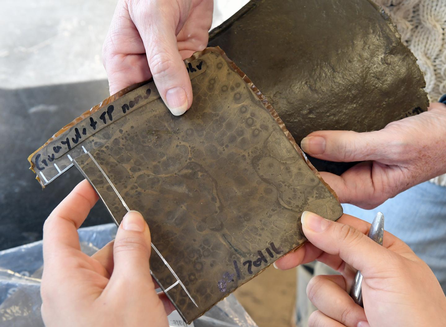 Sustainable Rubber with Food W [IMAGE] | EurekAlert! Science News Releases