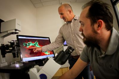 Jeff Weiss and Lowell Edgar, U [IMAGE] | EurekAlert! Science News Releases