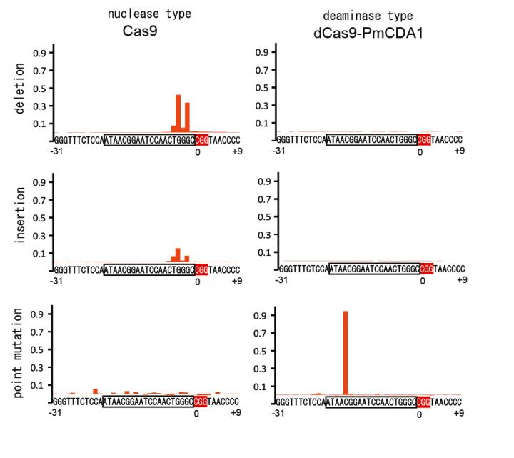 Effects of Mutation Induction [IMAGE] | EurekAlert! Science News Releases