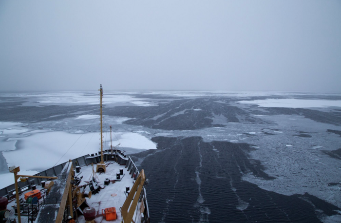 Arctic Ocean ice [IMAGE] | EurekAlert! Science News Releases