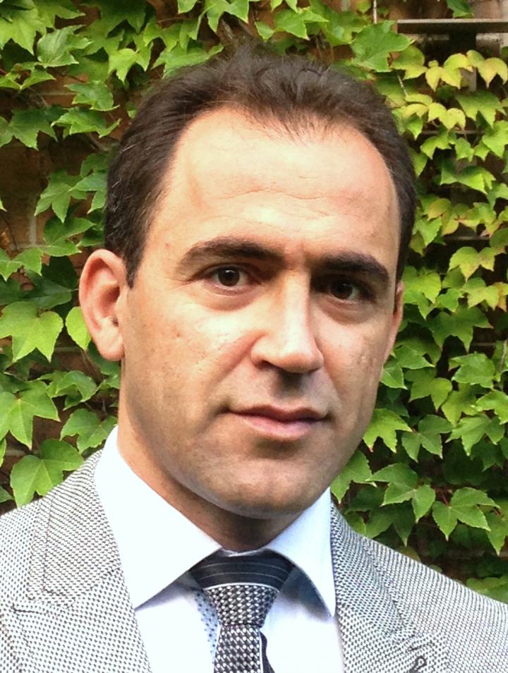 Amir Ameli [IMAGE] | EurekAlert! Science News Releases