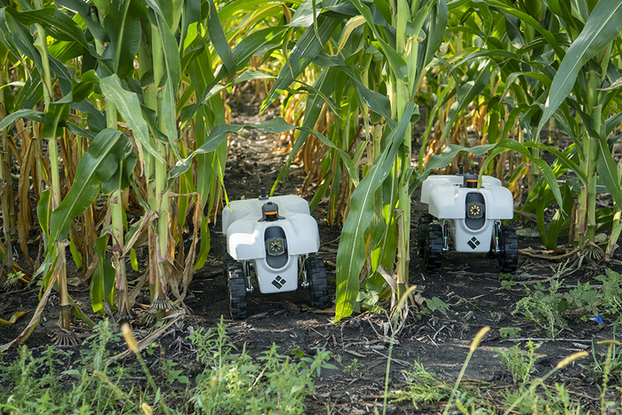 Digital tools can transform agriculture to be | EurekAlert!