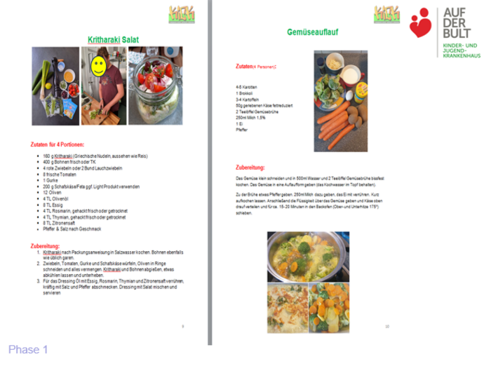 KiCK programme recipe example [IMAGE] | EurekAlert! Science News Releases