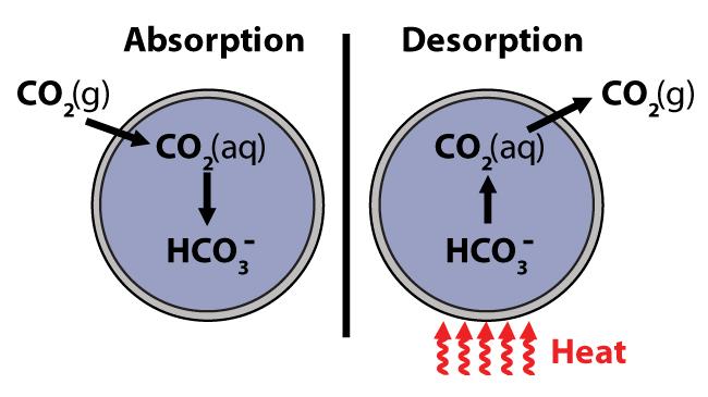Absorption and Desorption [IMAGE] | EurekAlert! Science News Releases