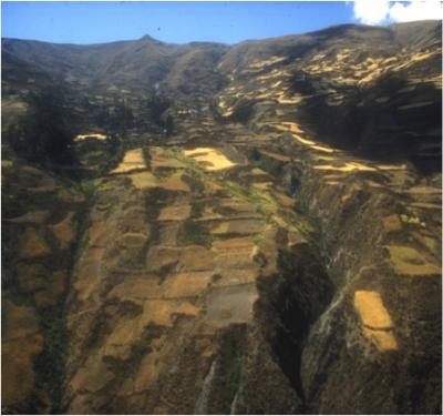 Andean Potato Fields [IMAGE] | EurekAlert! Science News Releases