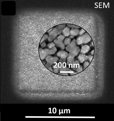 SEM Micrography [IMAGE] | EurekAlert! Science News Releases