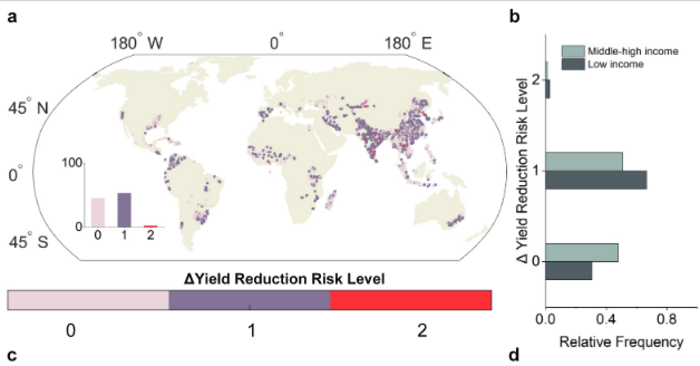 High CO2 concentration in the atmosphere impo | EurekAlert!