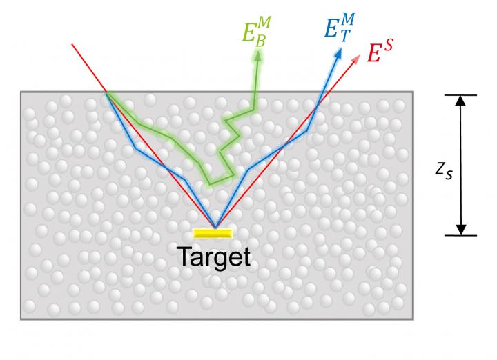 Scheme of Scattered Light Wave [IMAGE] | EurekAlert! Science News Releases