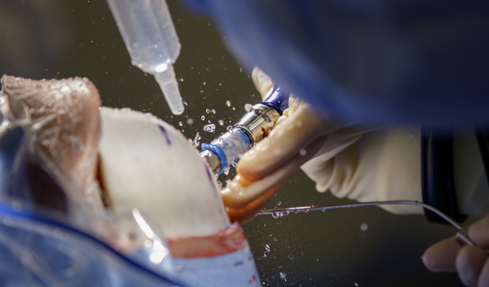 Brain surgery simulator [IMAGE] | EurekAlert! Science News Releases