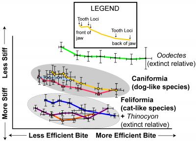 Profile Plot [IMAGE] | EurekAlert! Science News Releases