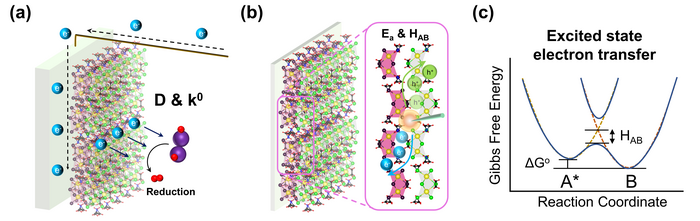 Schematic illustration of a ph [IMAGE] | EurekAlert! Science News Releases
