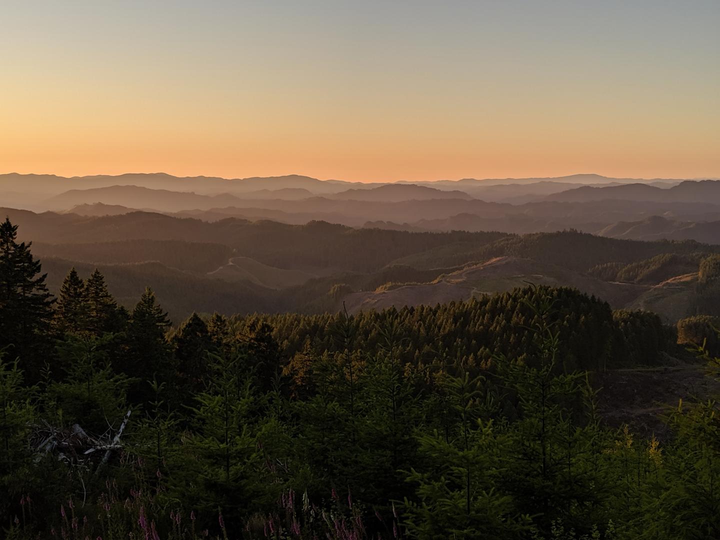 Oregon Coast Range [IMAGE] | EurekAlert! Science News Releases