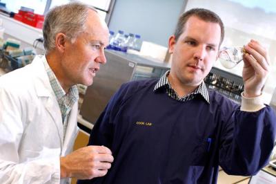 Mycobacteria Metabolism Discov [IMAGE] | EurekAlert! Science News Releases