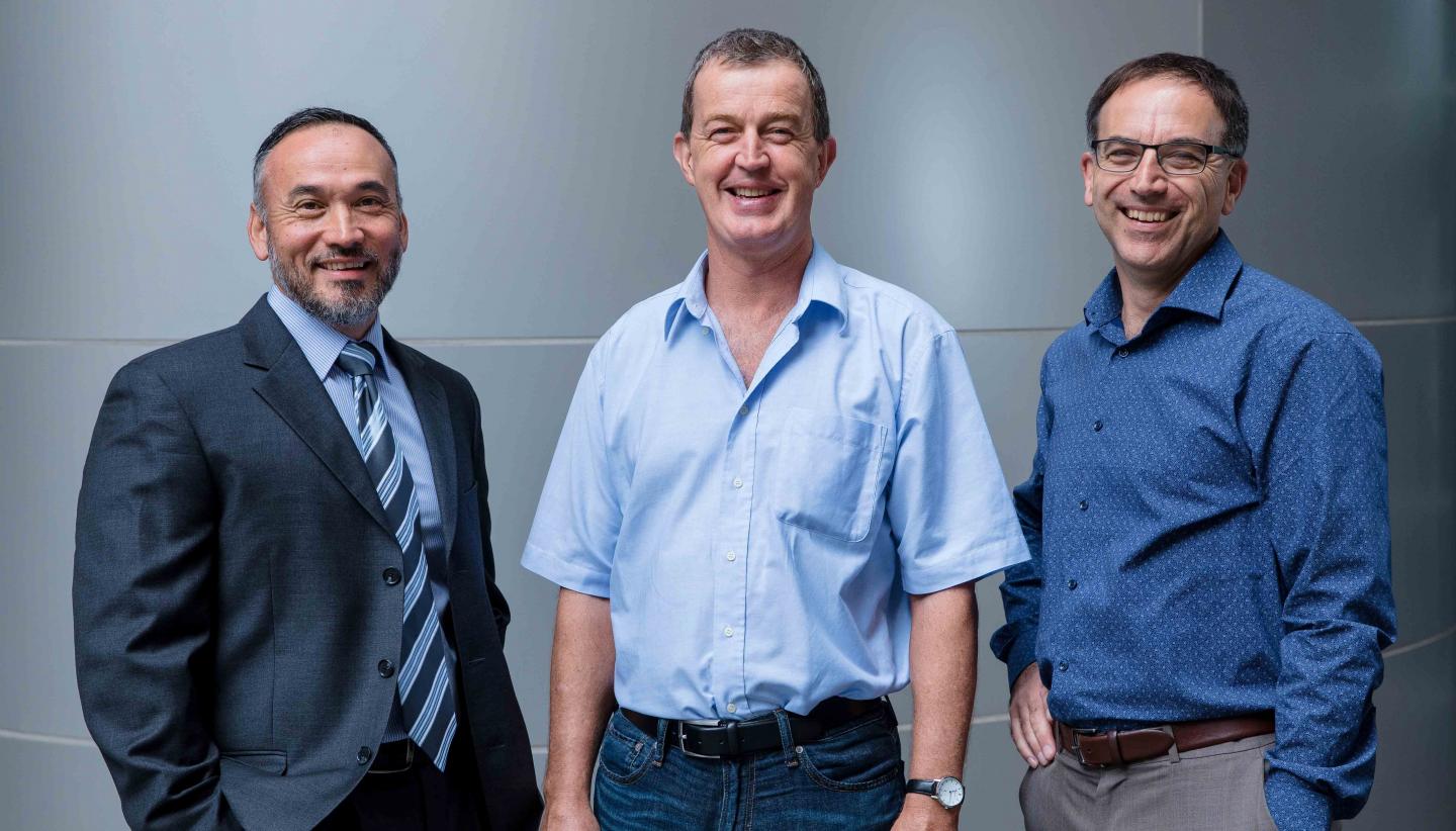 Researchers at UQ's Institute [IMAGE] | EurekAlert! Science News Releases