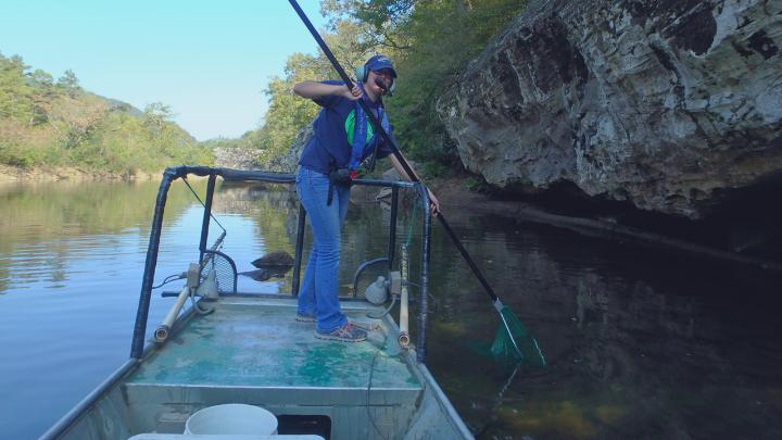 Collecting samples from boat [IMAGE] | EurekAlert! Science News Releases