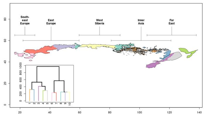 Hierarchical clustering of the [IMAGE] | EurekAlert! Science News Releases