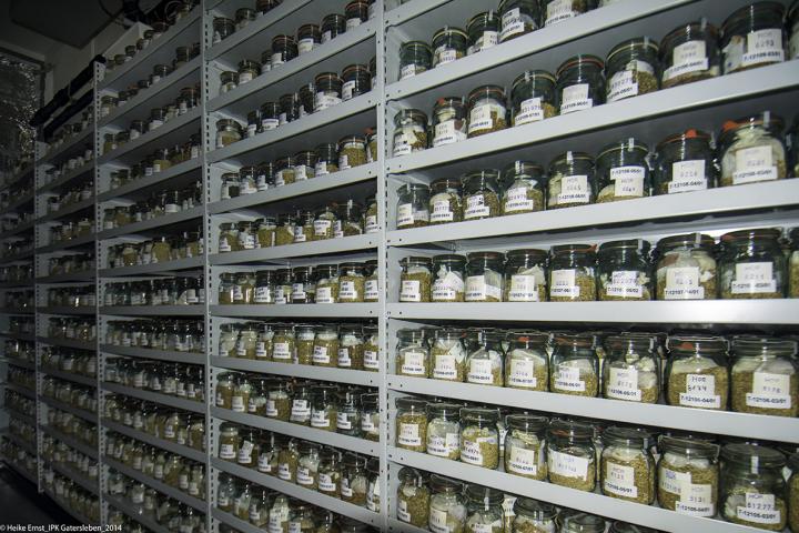 Seed Storage [IMAGE] | EurekAlert! Science News Releases