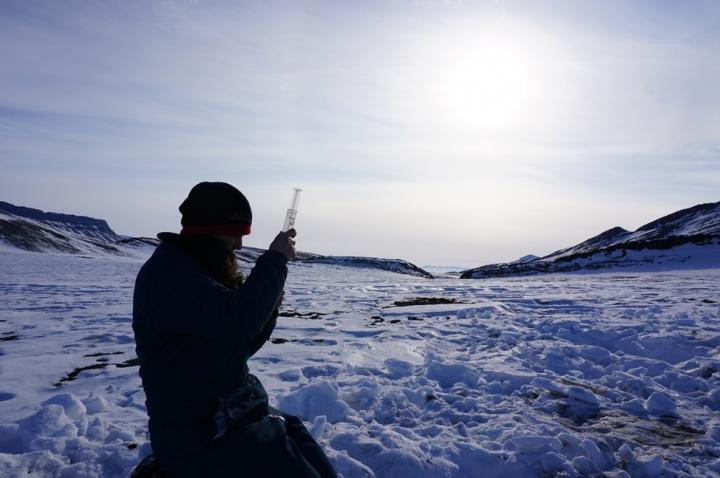 I. Altshuler, Frontiers [IMAGE] | EurekAlert! Science News Releases