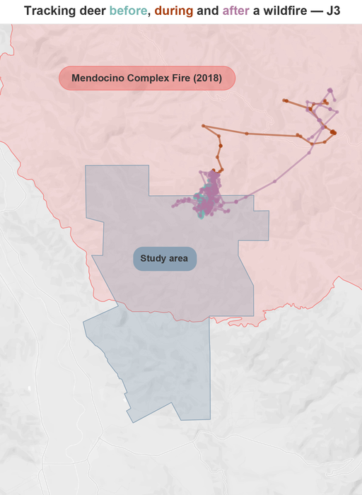 Deer GPS track [IMAGE] | EurekAlert! Science News Releases