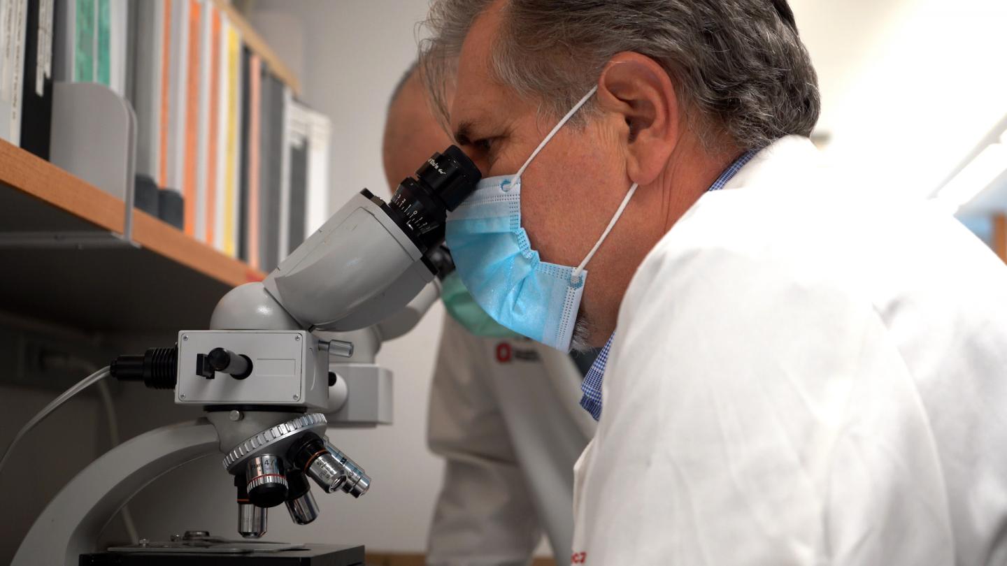 Lab Examination [IMAGE] | EurekAlert! Science News Releases