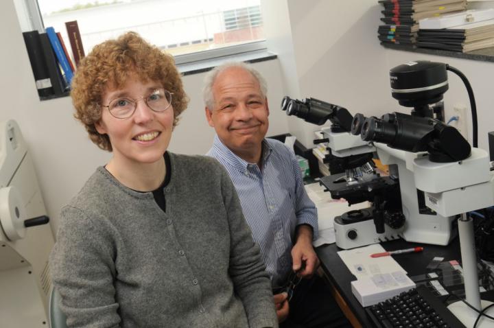 Ginny Espina-Lance Liotta, Geo [IMAGE] | EurekAlert! Science News Releases