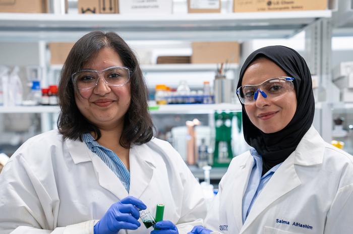 researchers [IMAGE] | EurekAlert! Science News Releases