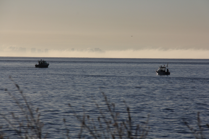 Recreational boat traffic [IMAGE] | EurekAlert! Science News Releases