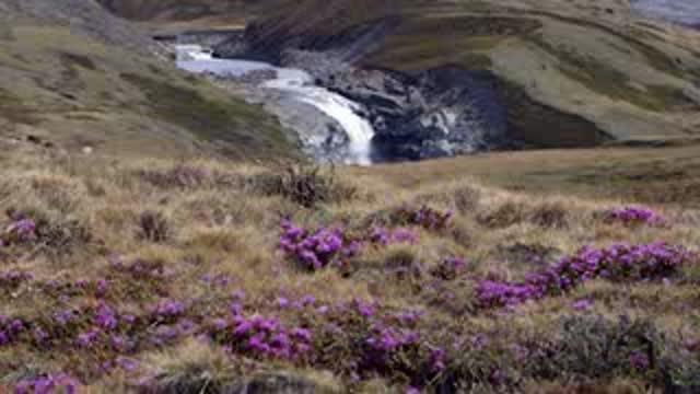 Changes in Greenland Landscape Affect Carbon | EurekAlert!