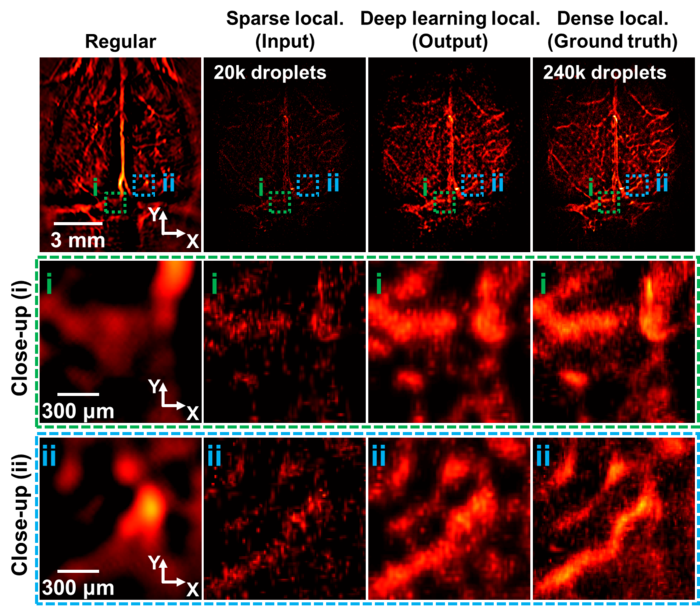Deep Learning-Based 2D Labeled [IMAGE] | EurekAlert! Science News Releases