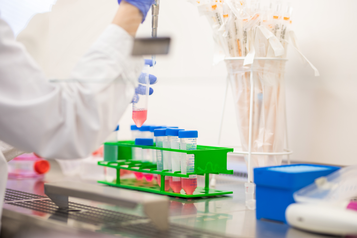 Scientists working in the lab [IMAGE] | EurekAlert! Science News Releases