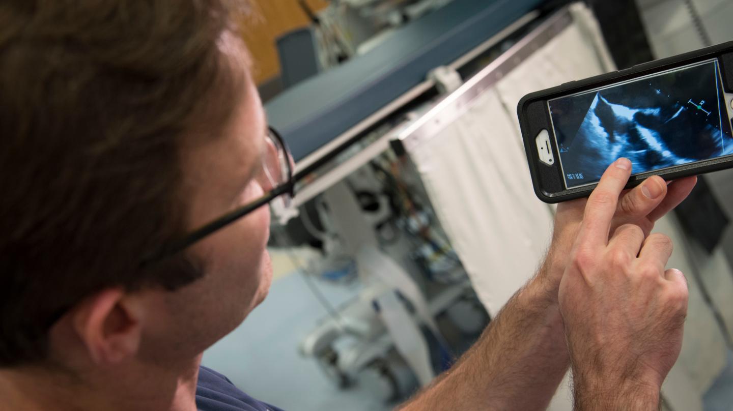 Pacemaker Infection the Size o [IMAGE] | EurekAlert! Science News Releases