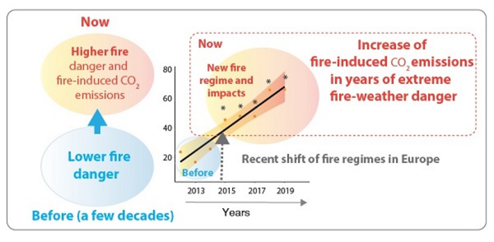 FOREST FIRE [IMAGE] | EurekAlert! Science News Releases