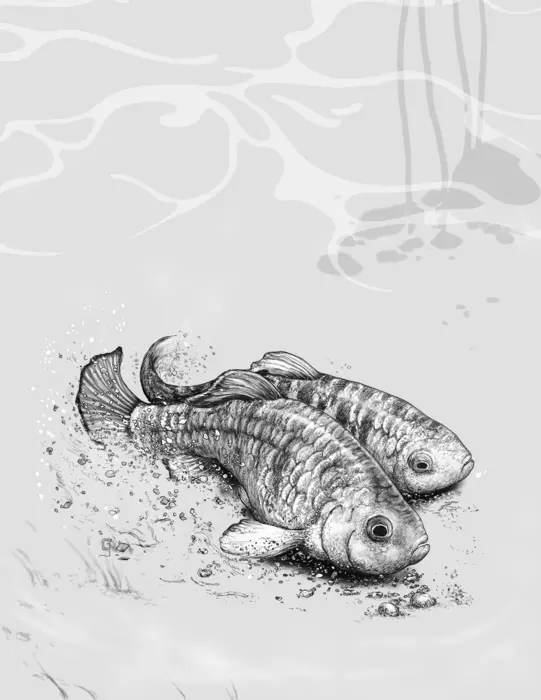 Purdue-led fishing expedition nets new pupfis | EurekAlert!